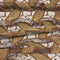 Brown Leaf Corded Embroidery Lace Fabric with Stone $5.99/Yard 50"
