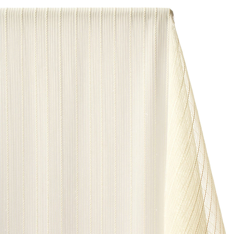 Bayzam Striped Sheer Mesh Dobby | Fabric Wholesale Direct